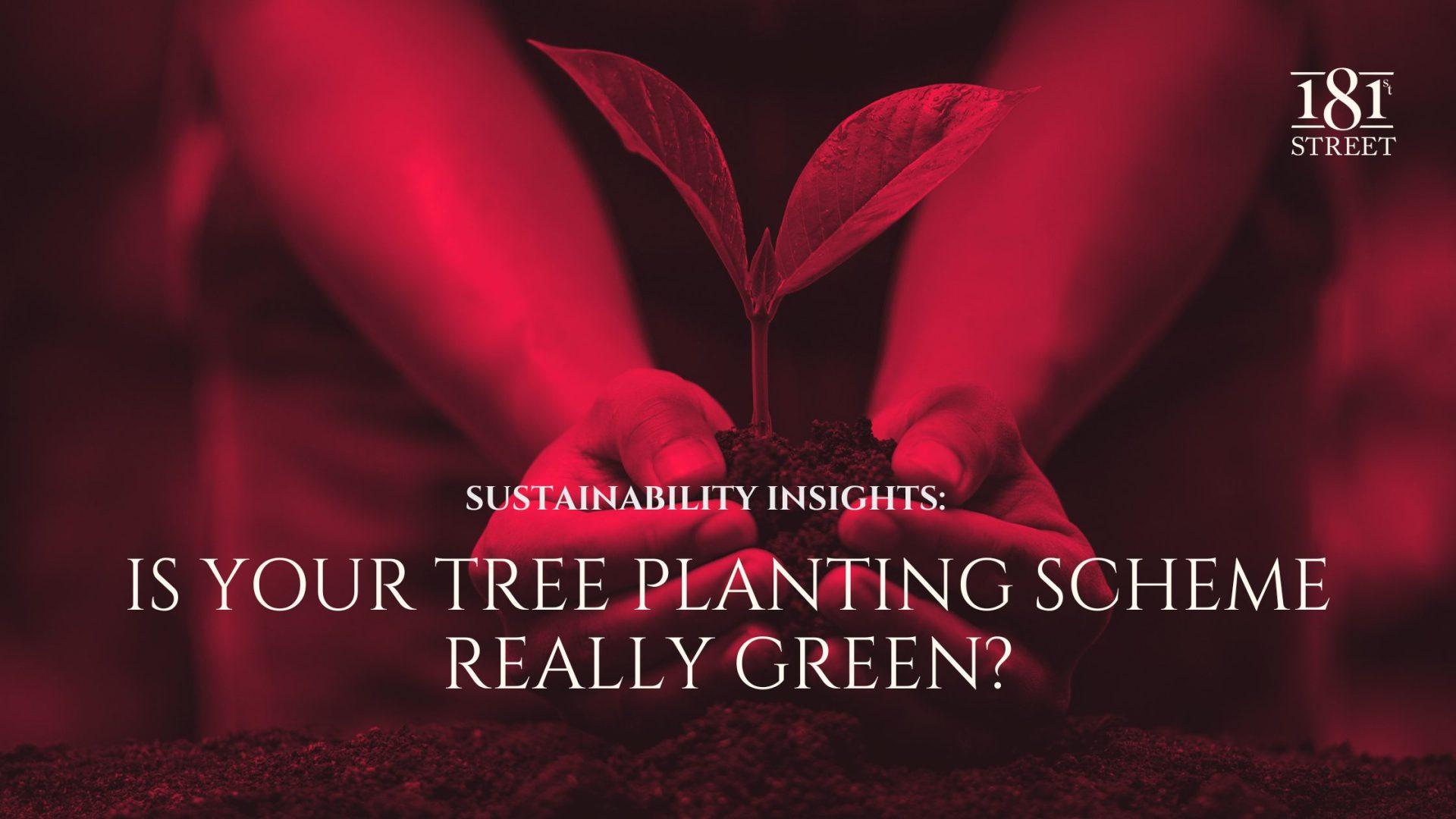 Is your tree planting scheme really green?